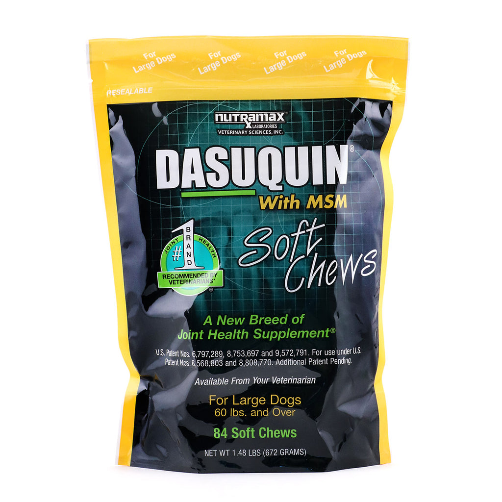 Dasuquin Soft Chews with MSM for Large Dogs – Mahogany Veterinary Clinic
