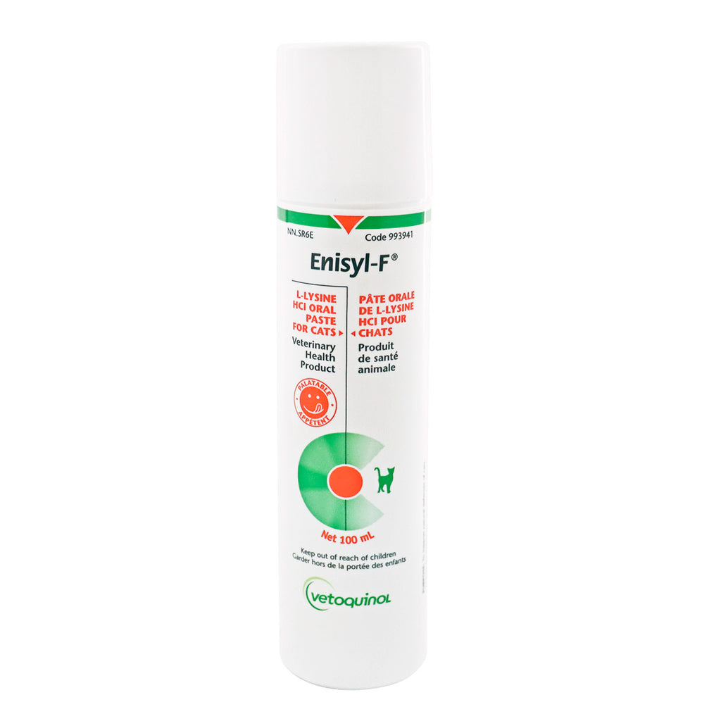 ENISYL-F L-LYSINE HCI ORAL PASTE for CATS - 100ml – Mahogany Veterinary ...